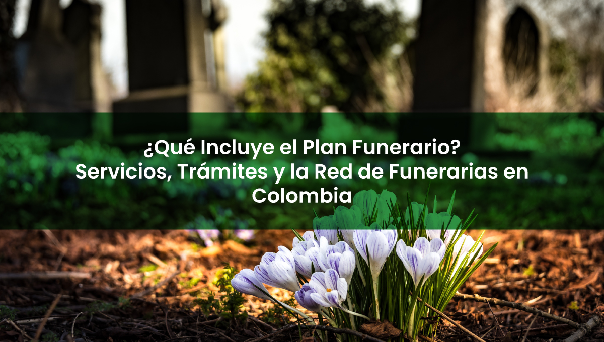 ¿Qué Incluye el Plan Funerario? Servicios, Trámites y la Red de ...